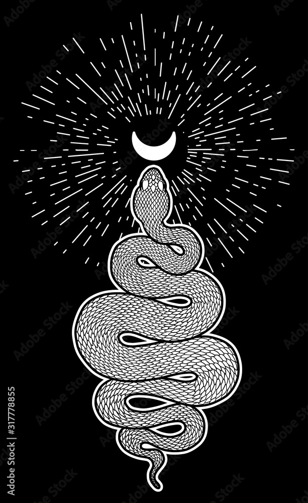 Coiled snake and crescent moon detailed illustration Stock Vector ...