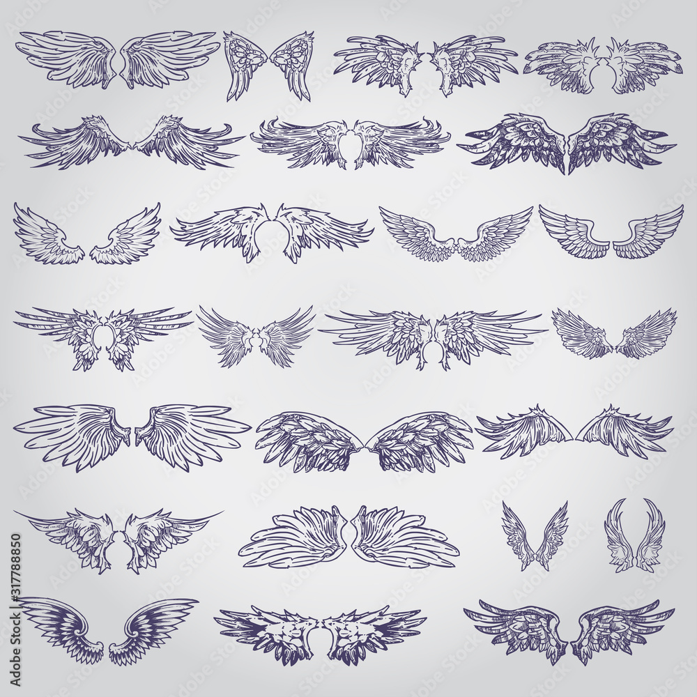 Wing icons set in simple ctyle. Birds and angel wings set collection ...