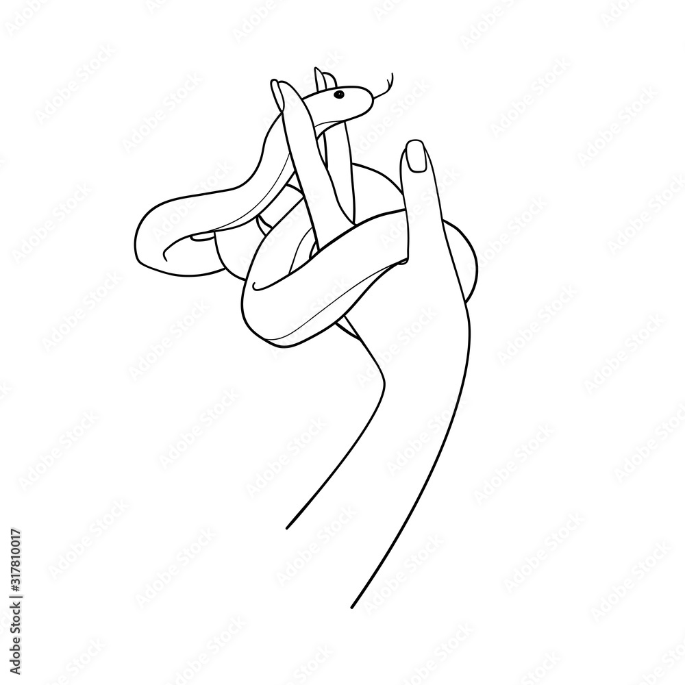 Female hand with a snake isolated on white background. Hand with a ...