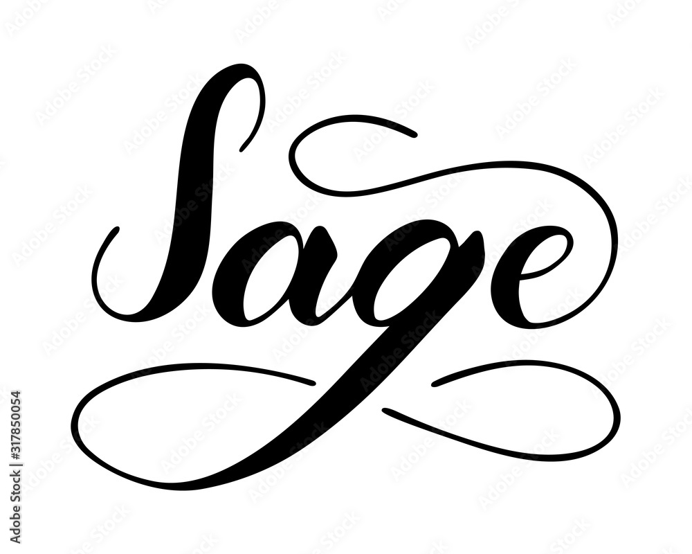 Vector hand written sage text isolated on white background. Kitchen ...