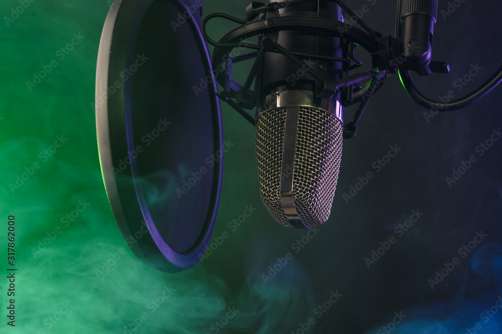 Close up studio condenser microphone on stand and anti-vibration mount ...