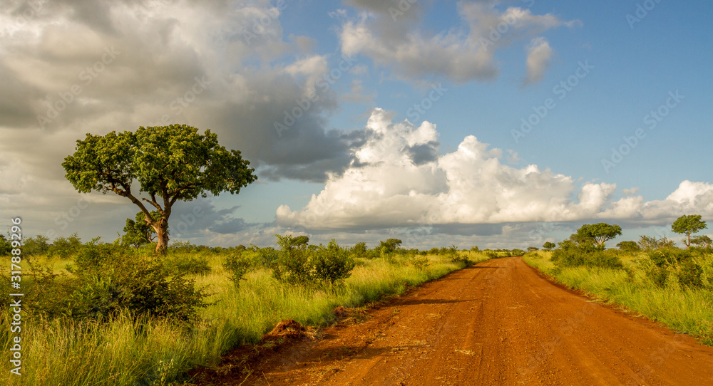 Horizontal Road Landscape
