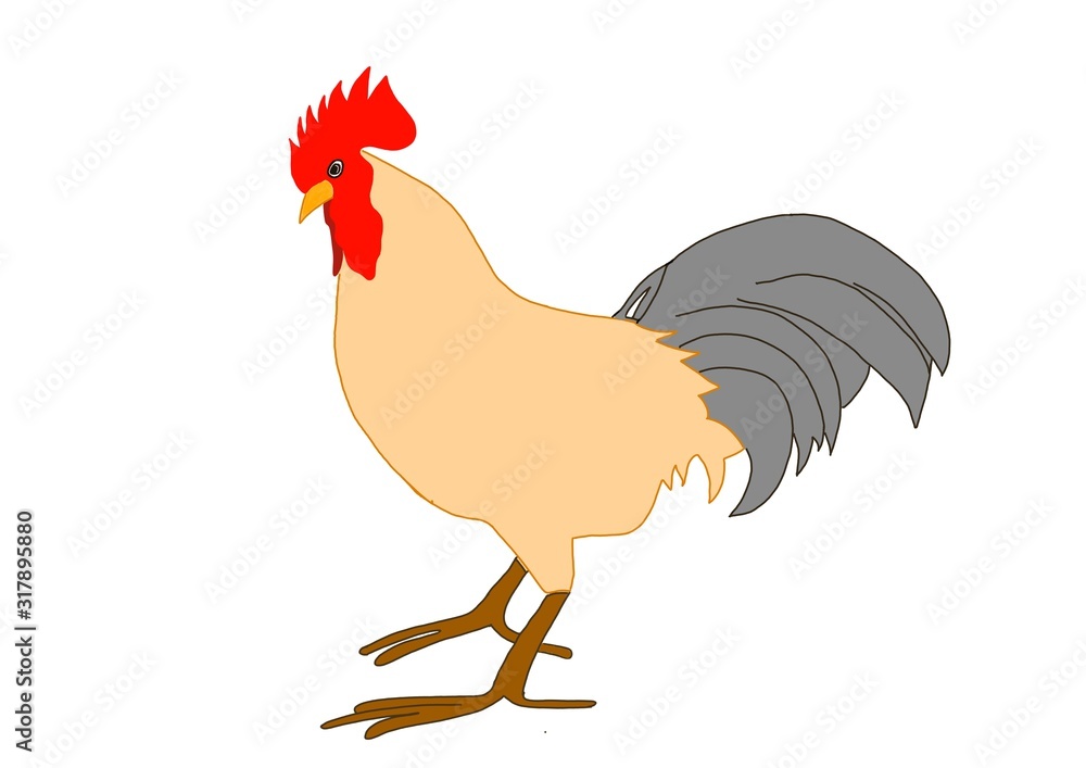 Coq illustration Stock Illustration | Adobe Stock