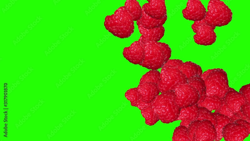 raspberryes group fruits animation transition green screen chroma key ...