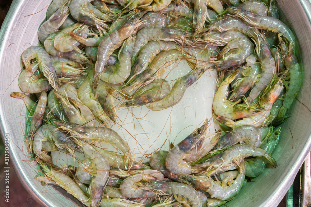 Tiger prawns in ice. Penaeus monodon, giant tiger prawn or Asian tiger ...
