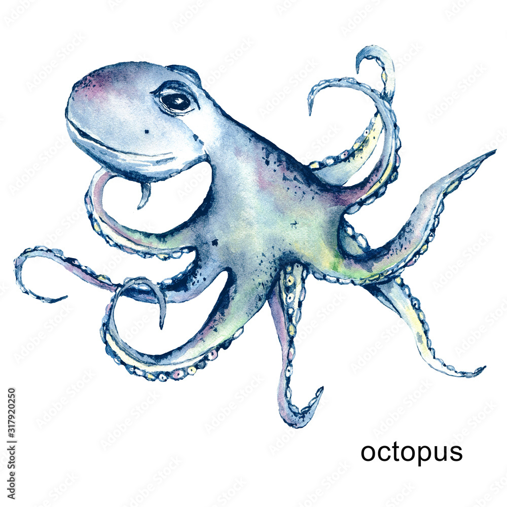 Octopus Watercolor Painting