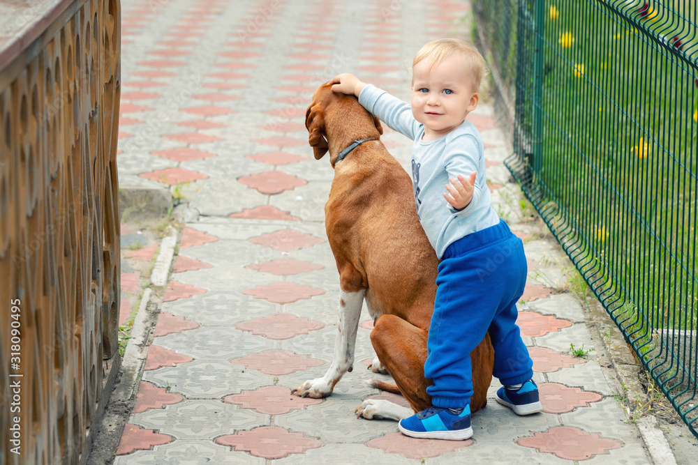 Cute caucasian toddler boy hugging and petting old pointer dog during ...