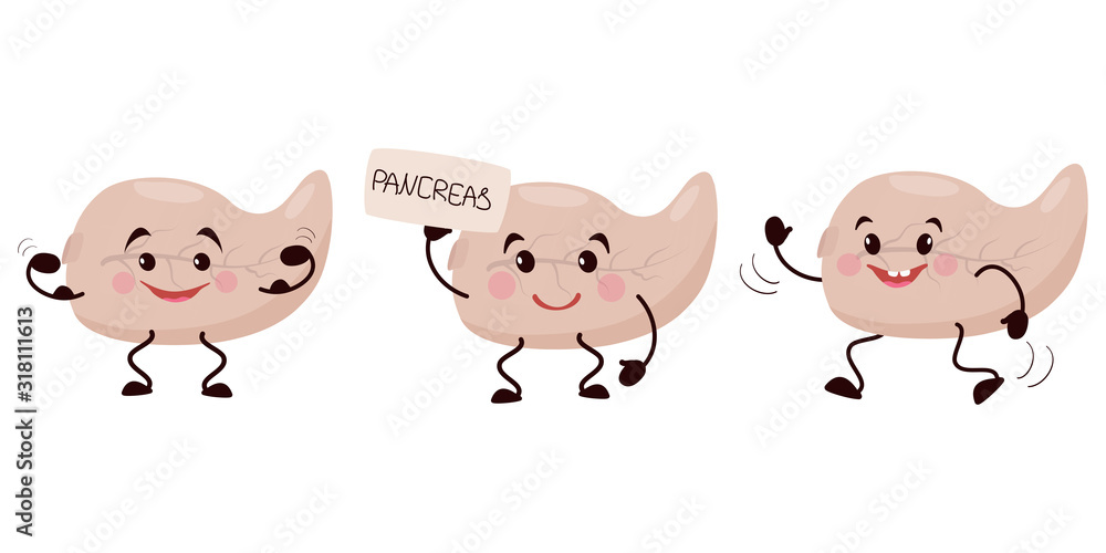 Cartoon character of the pancreas. Stock Vector | Adobe Stock
