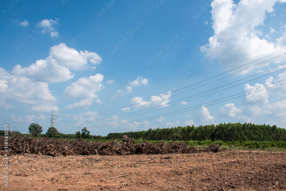 Electricity transmission line with green tree nature, Green ...