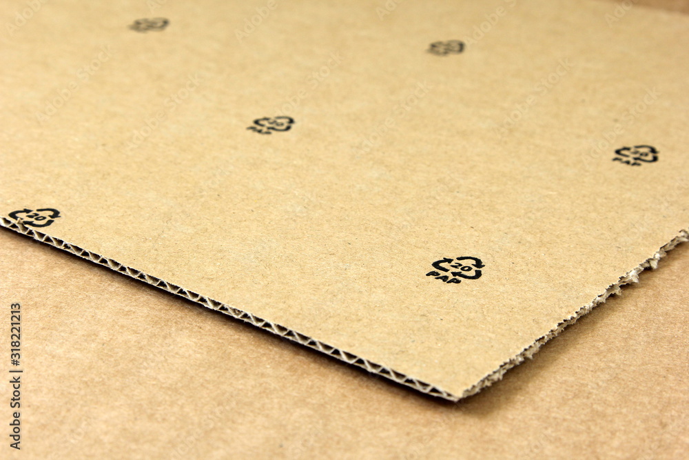 cardboard packaging. PAP 21 logo printed on a cardboard, paper recycle ...
