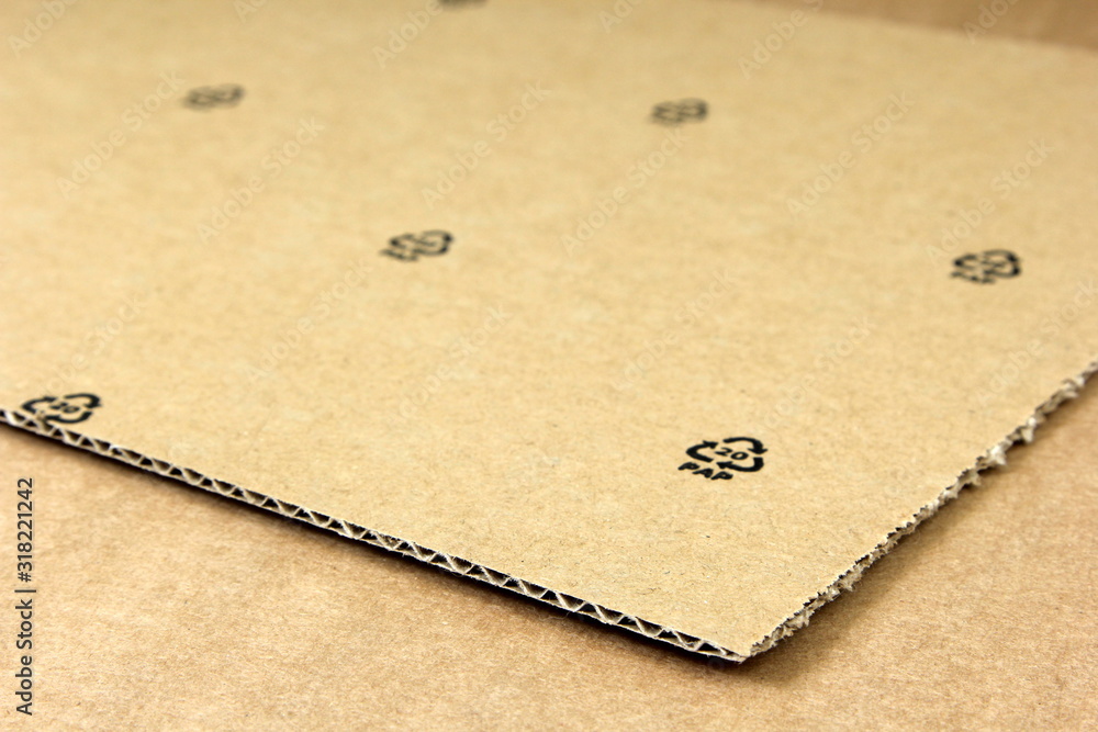 cardboard packaging. PAP 21 logo printed on a cardboard, paper recycle ...
