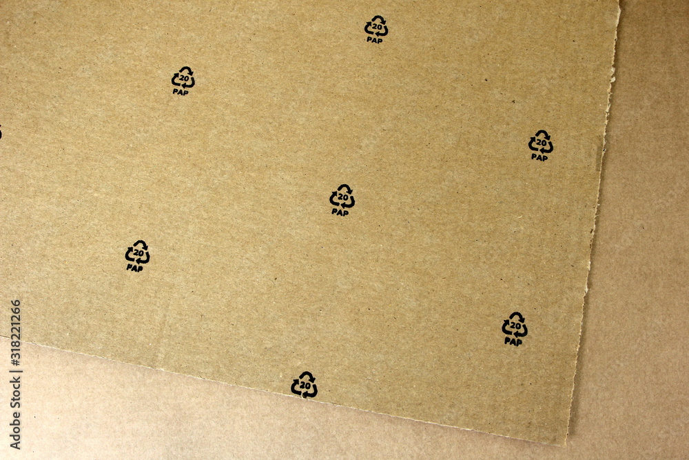 cardboard packaging. PAP 21 logo printed on a cardboard, paper recycle ...