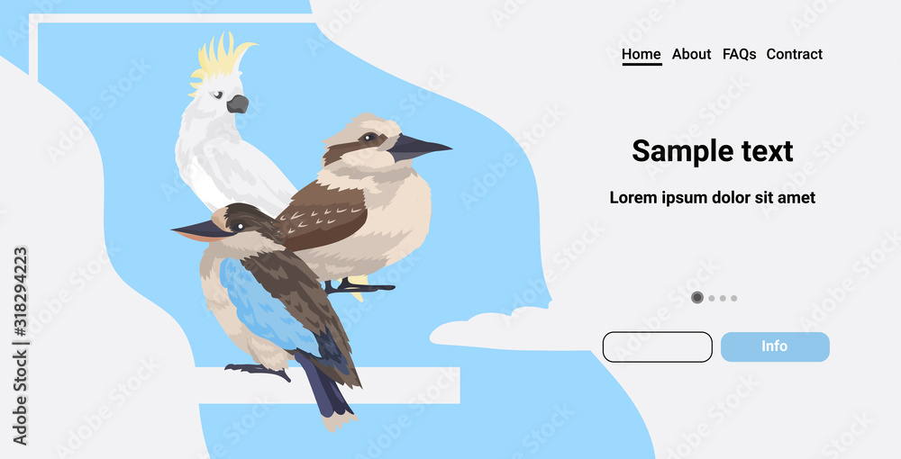 Common starling kookaburra cockatoo birds cartoon wild animals symbol ...