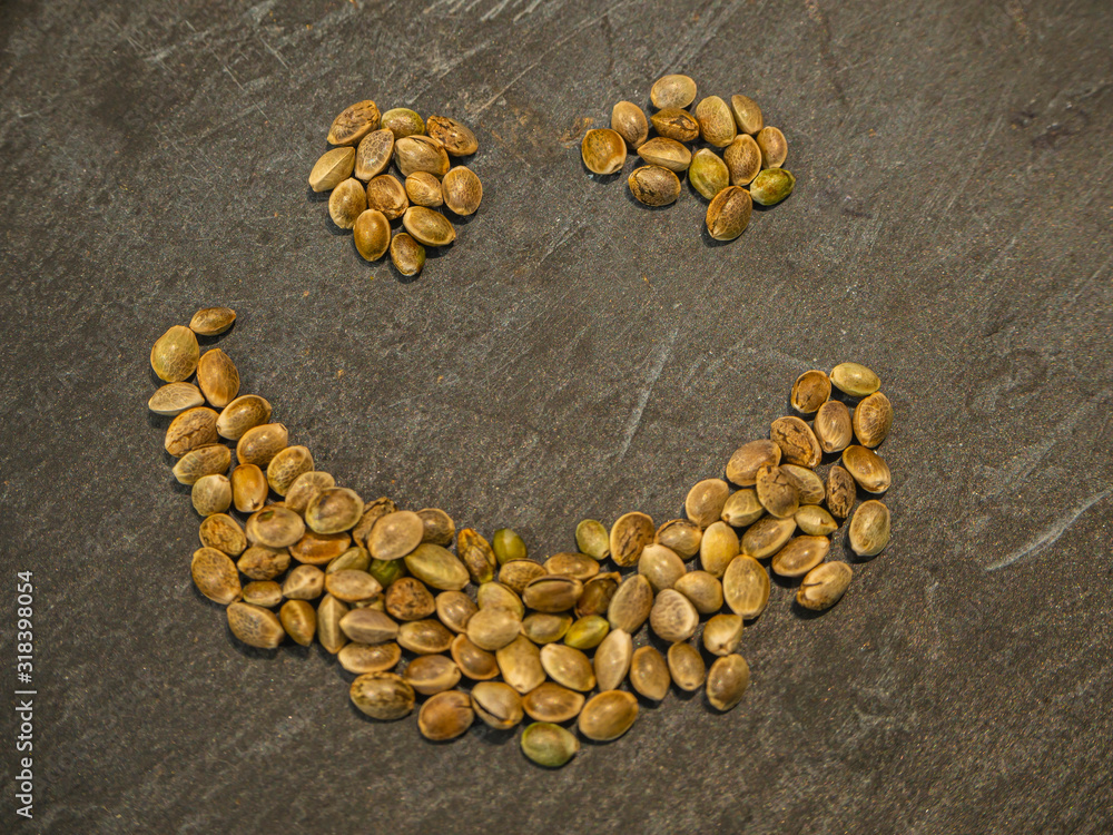 Cannabis, marijuana, light drugs. Hemp seeds. Top view. For Background ...