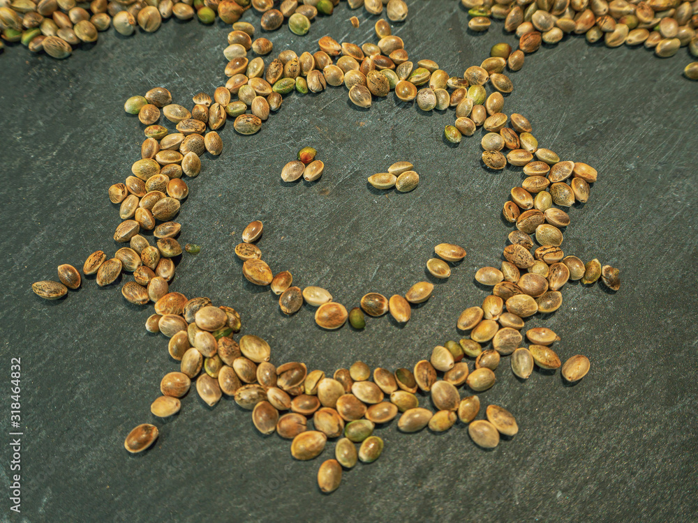 Cannabis, marijuana, light drugs. Hemp seeds. Top view. For Background ...