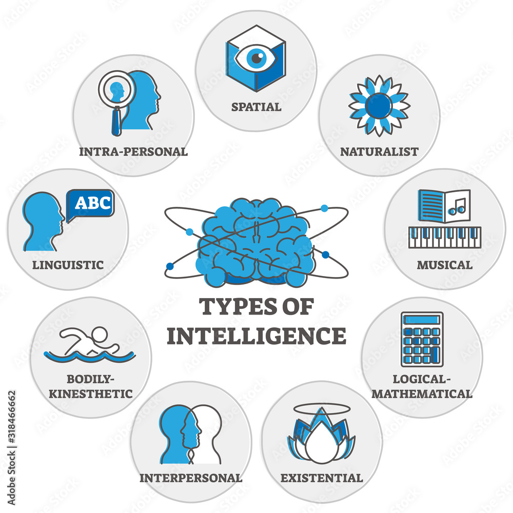 Types of intelligence outline symbols diagram Stock Vector | Adobe Stock