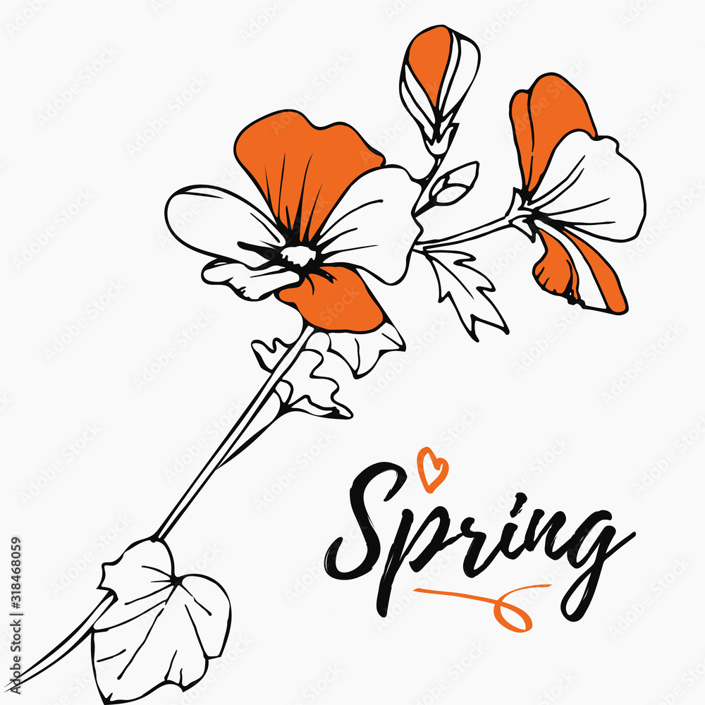 Orange blossom. Hand drawn sketch of flower on white background. Vector ...