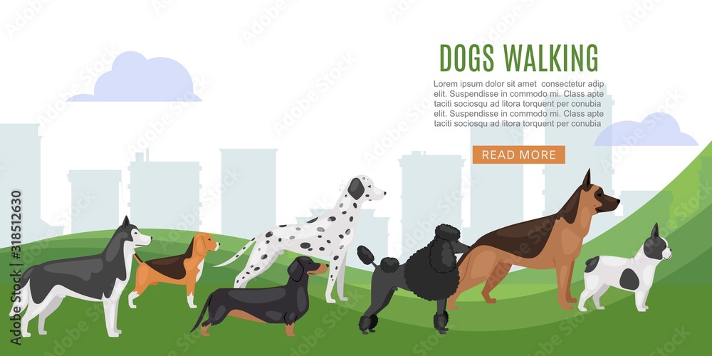Walking dog service web baner vector illustration. Big size dogs and ...