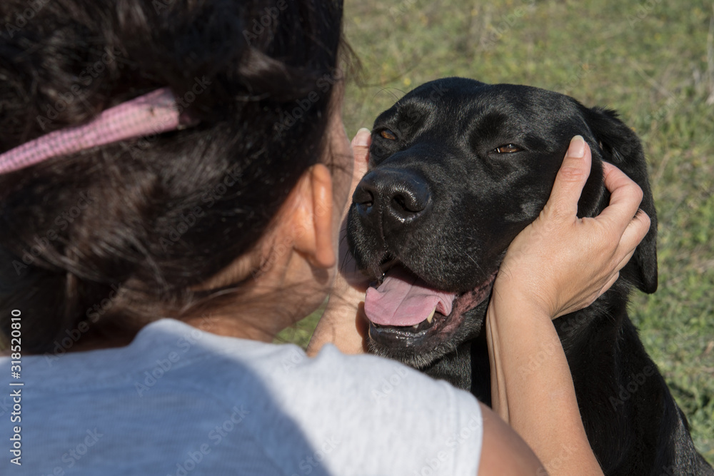 Woman sitting on ground cuddle and kiss Labrador dog while walking in ...