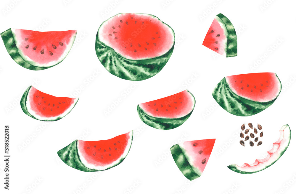 Watercolor watermelon on a white background drawn by hand. A set of ...