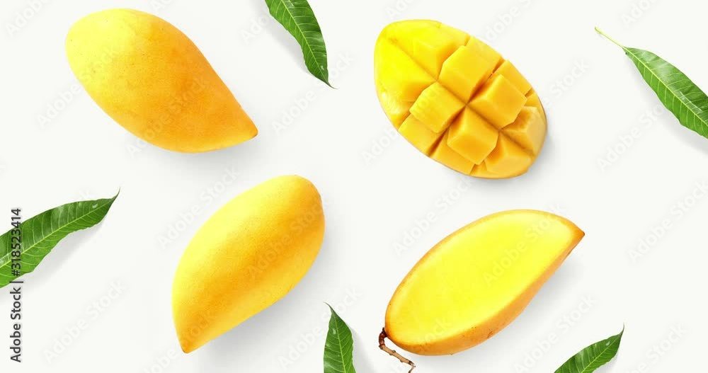 Motion animation with mango. Mango animation on the white background ...