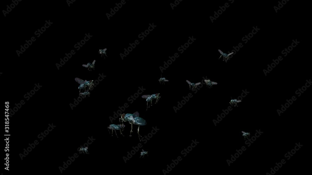 Fly Swarm V FHD CU. Green, blue, and black body color. Aggressive ...