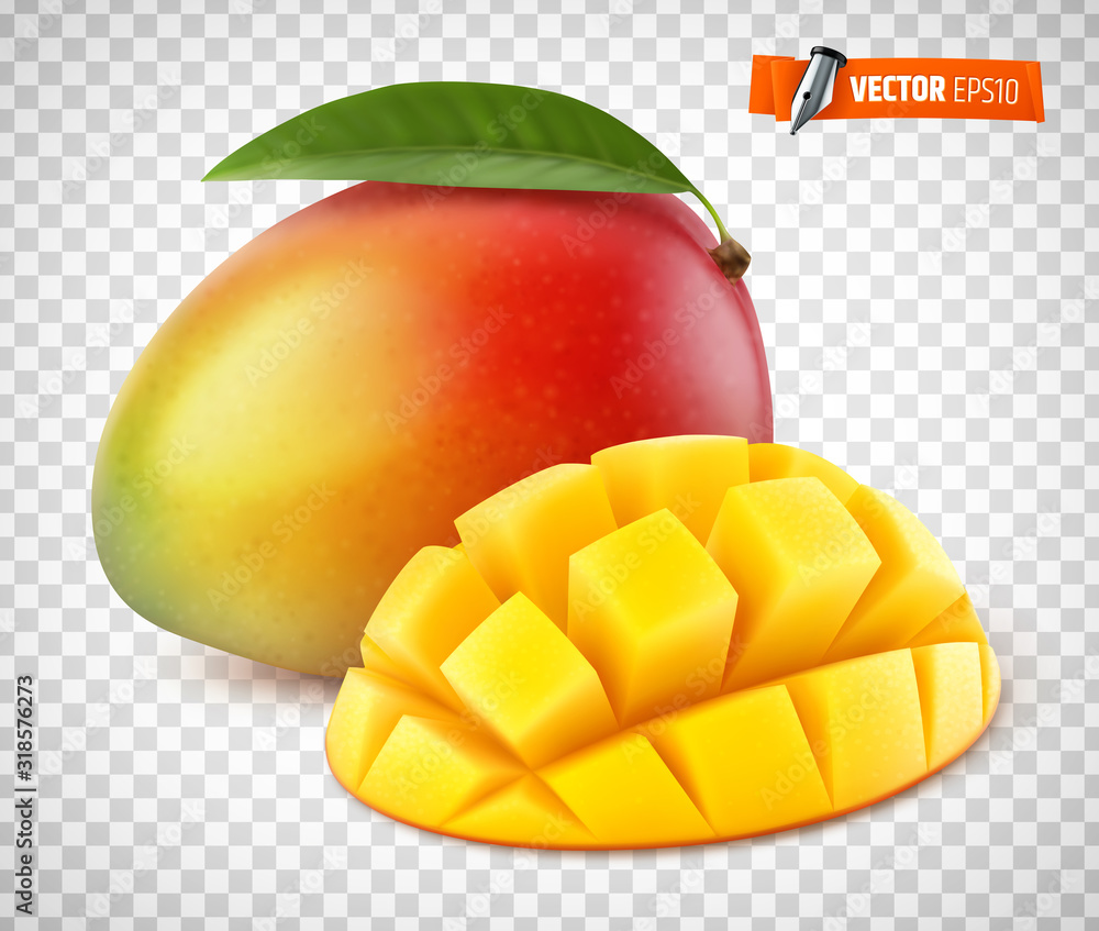 Mangue vectorielle sur fond transparent Stock Vector | Adobe Stock