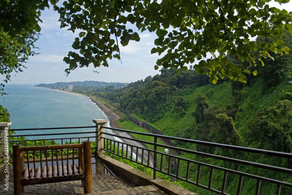 An observation deck with a bamboo bench in the shade of deciduous trees ...