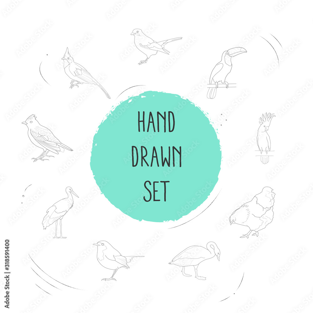 Set of fowl icons line style symbols with bulbul bird, swan, jay and ...