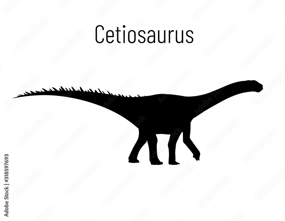 Cetiosaurus. Sauropodomorpha dinosaur. Monochrome vector illustration ...