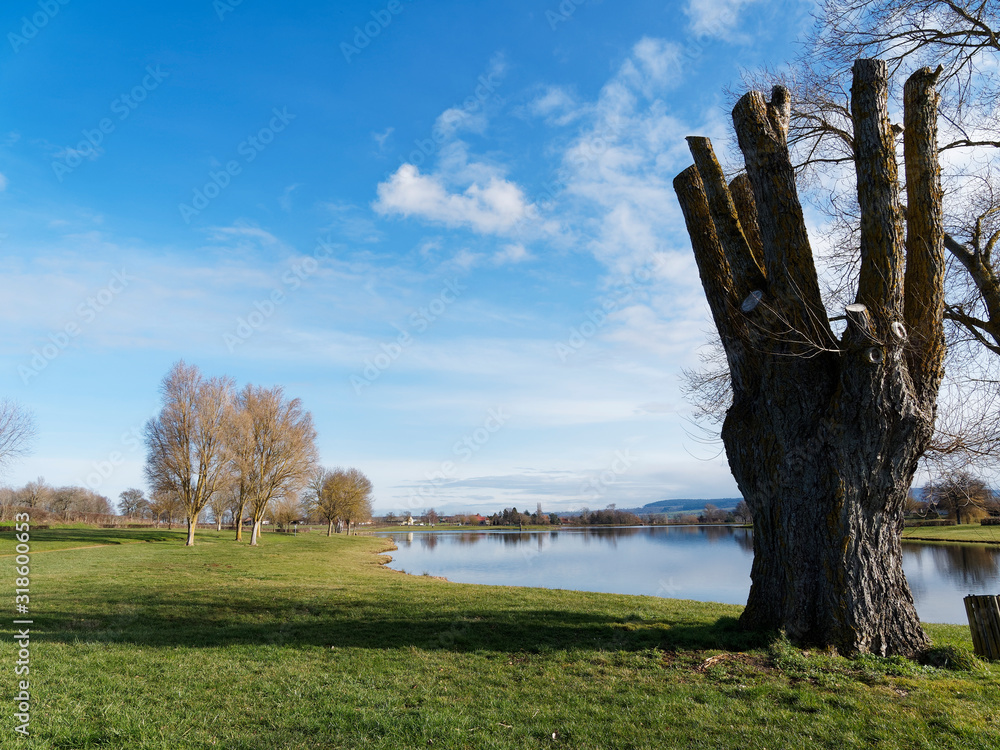 Foto de Paysage de prairie et pelouse verdoyante et arborée autour du ...
