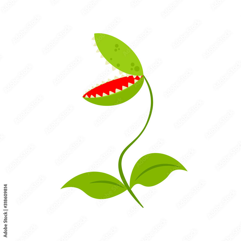 Venus fly trap. Clipart image isolated on white background Stock Vector | Adobe Stock