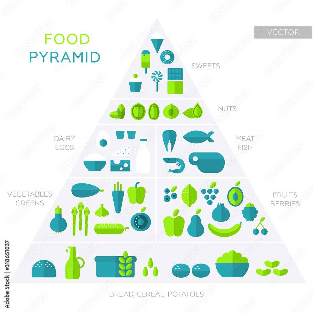 Food pyramid. Flat style. Trendy design. Vector illustration. Green ...