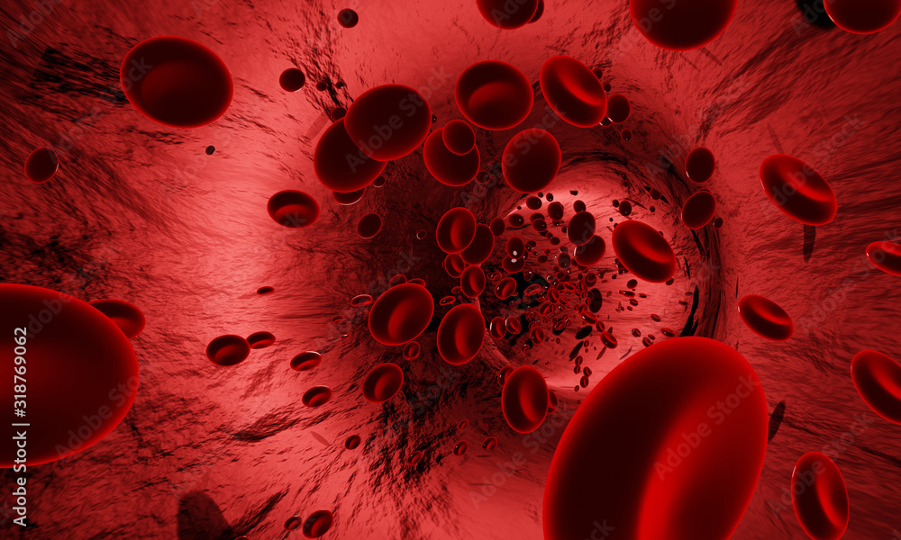 Red blood cells in an artery or blood vessel , flow inside body ...