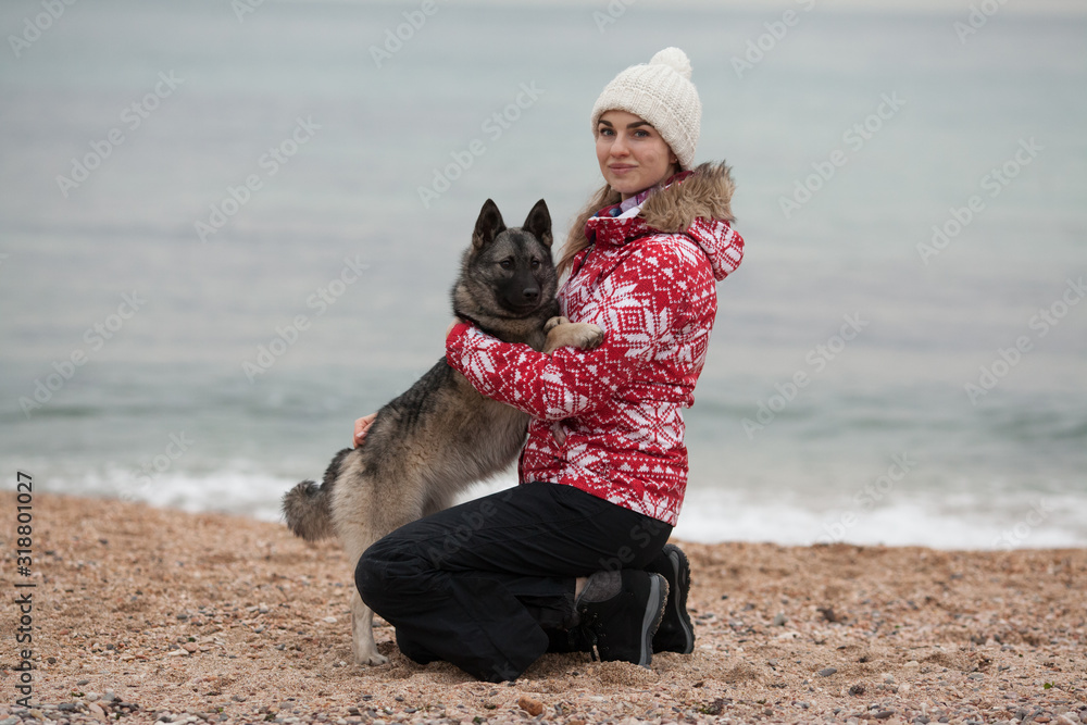 Beautiful girl owner with her dog breed Keeshond playing on the beach ...
