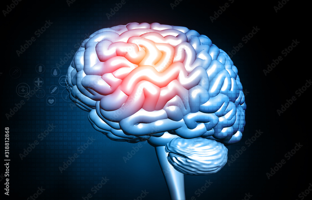 Human brain injury, damage,hemorrhag.3d illustration. Stock ...
