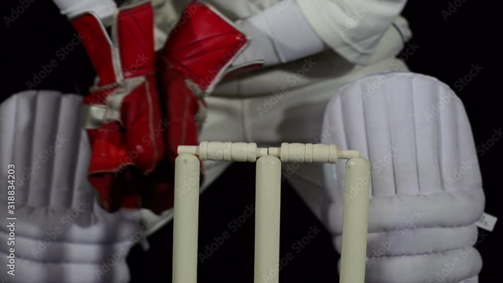 Wicketkeeper in Cricket knocks the bails off the stumps. Stumping ...