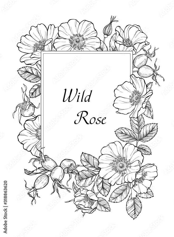 Rose Frame Drawing