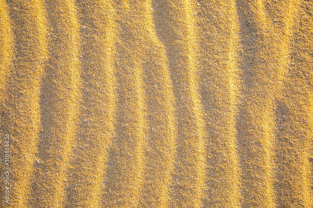 Fine sand texture - Sandy sunny beach for background - Top view - Full ...