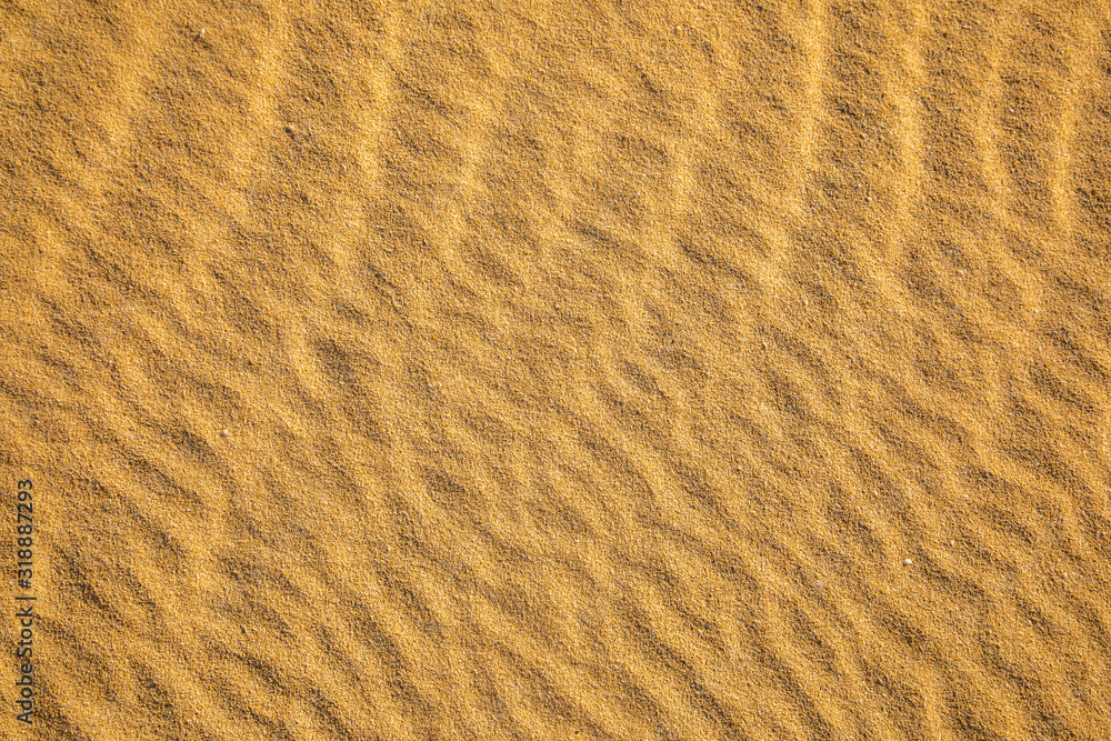Fine sand texture - Sandy sunny beach for background - Top view - Full ...
