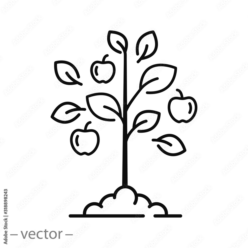 fruit tree icon, orchard, thin line web symbol on white background ...
