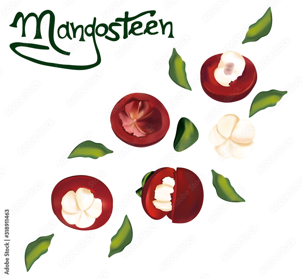 Mangosteen in motion on transparent background. 3D realistic mangosteen ...