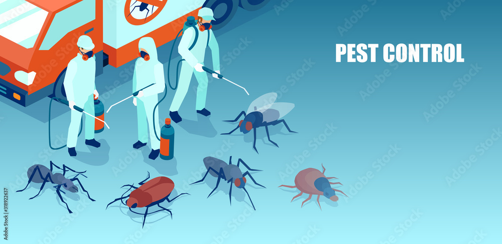 pest control professional team exterminating insects Stock Vector ...