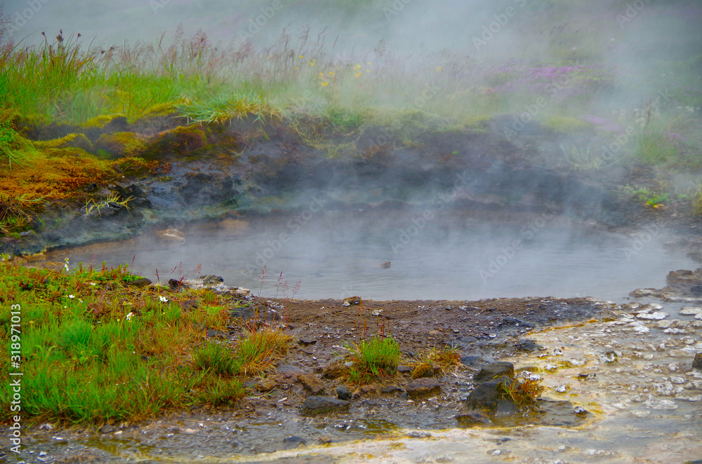 Hot volcanic springs and geothermal area Blesi around famous Strokkur ...