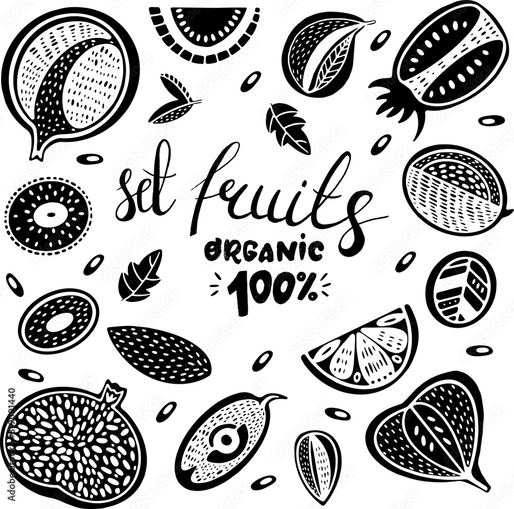 Fruits set vector. Hand drawn illustration of different kinds of fruits ...