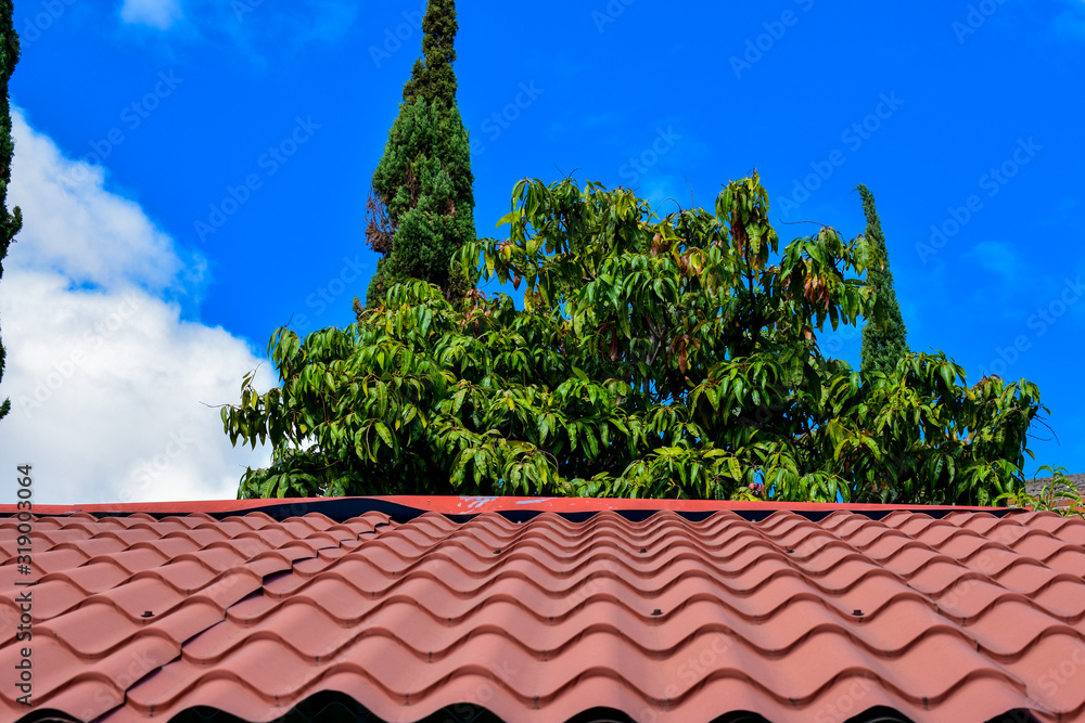 techo de teja roja con arbol de hojas verdes y fondo de cielo azul y ...