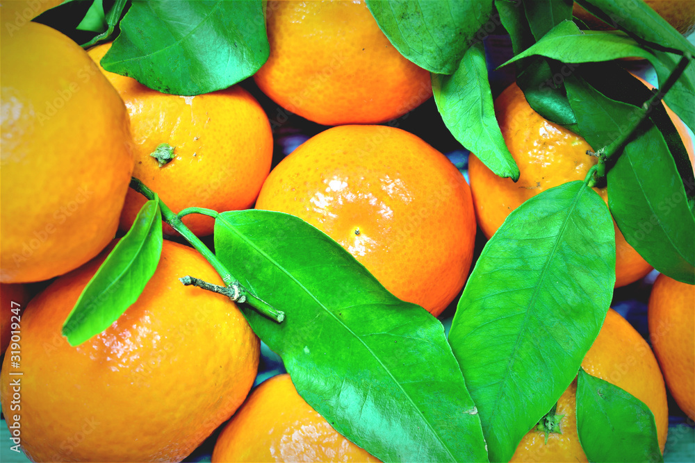 Fondo de mandarinas naturales con hojas Stock Photo | Adobe Stock