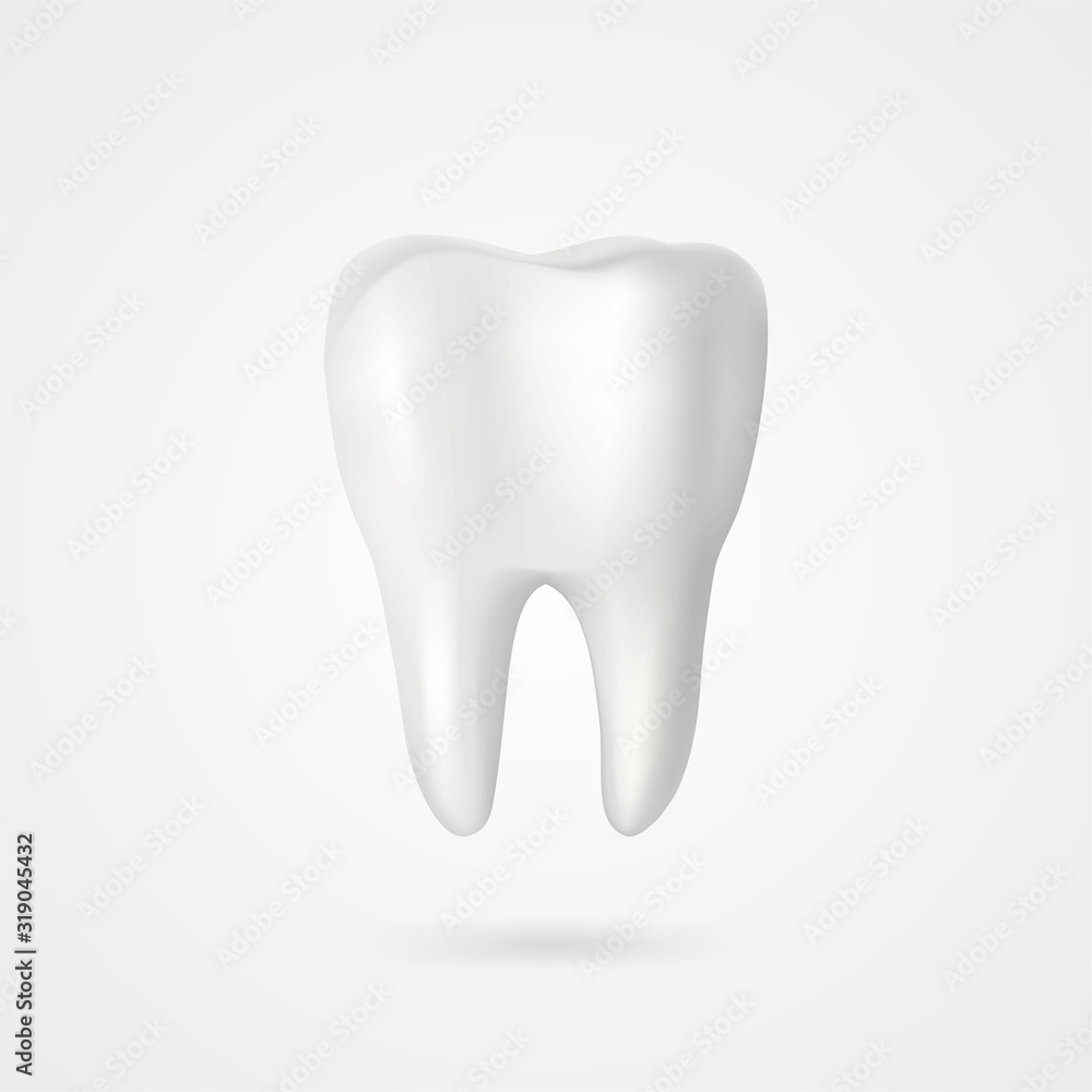 vector 3d tooth model for dental designs Stock Vector | Adobe Stock