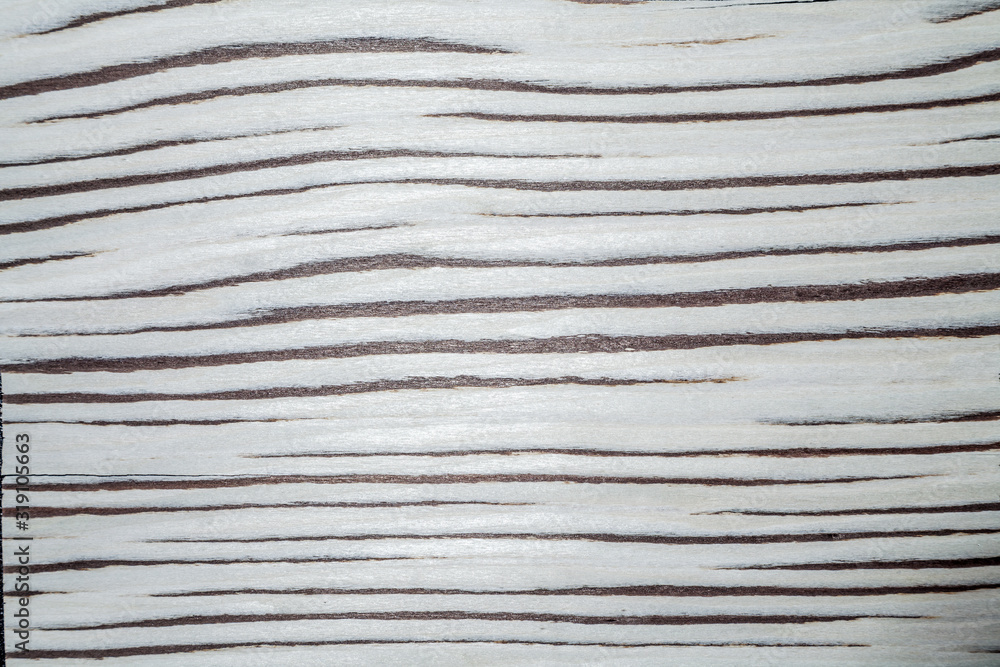light wood texture.Zebrawood texture. Stock Photo | Adobe Stock