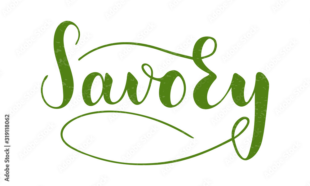 Vector hand written savory text isolated on white background. Kitchen ...